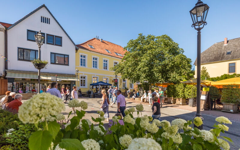 Benzinpreise Bad Iburg